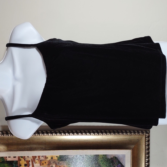 Norm Thompson | Tops | Norm Thompson Stretch Velvet Camisole Wbuiltin ...